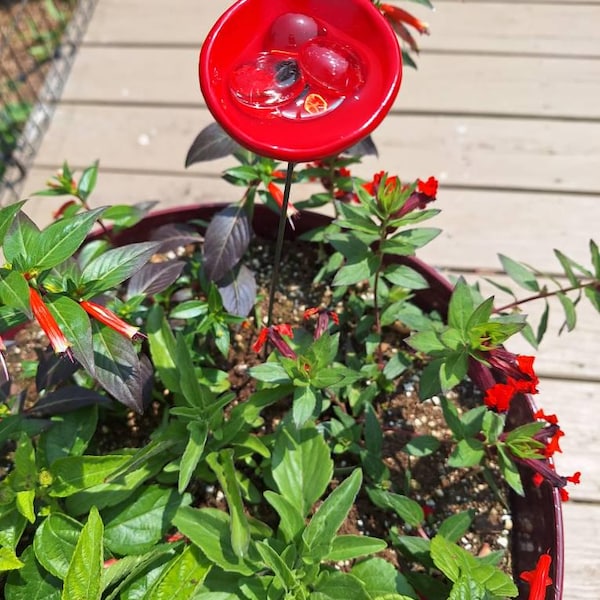 Bee Watering Station,butterfly Puddler,garden Art,gift for Her,poppy ...