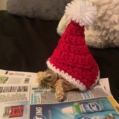 Crochet Santa Hat Turtle/tortoise Costume - Etsy
