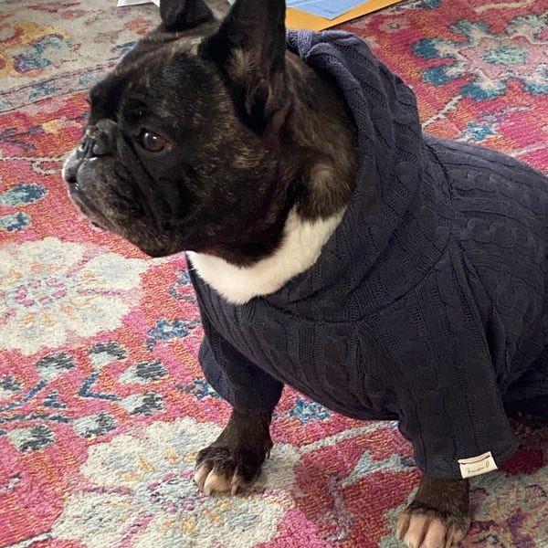 French Bulldog, French Bulldog Clothes, French Bulldog Hoodie, French ...