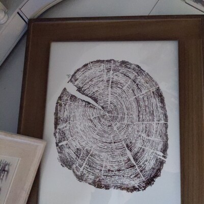 Tree Ring Art Print Watercolor Tree Ring, Tree Art, Watercolor Painting ...
