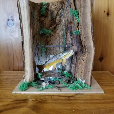 Realistic Brook Trout Replica - Etsy