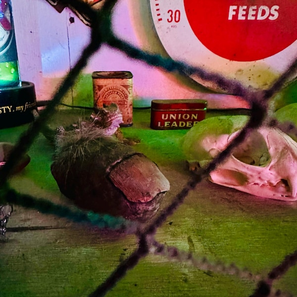 Mummified Pygmy Warrior - Etsy