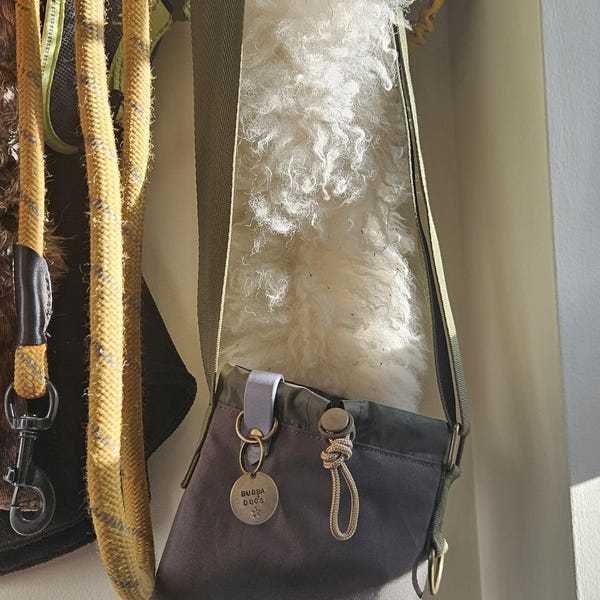 Grab Traffic Handle Lead - 2 Colour Waterproof Biothane Dog Lead With ...