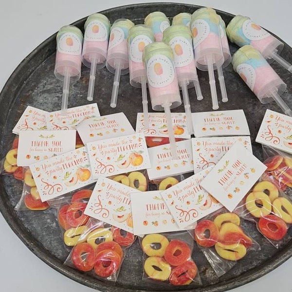 Push Pop Cotton Candy Party Favors - Gourmet Cotton Candy - Birthday ...