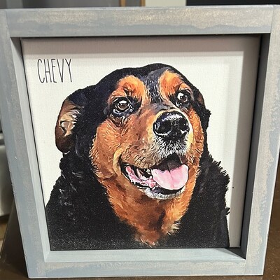 Zoomies Pet Definition Print on Canvas, Farmhouse Decor, Pet Wall ...