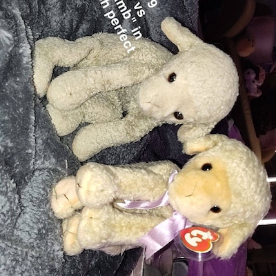 TY luckier the Bear // Beanie Baby 2.0 - Etsy