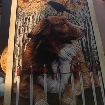 Wise Dog Tarot Cards & Guidebook Set Dogs Oracle Card Deck Book Kit ...