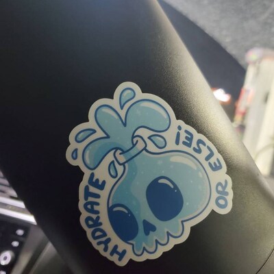 Hydrate or Else, Funny Water Sticker, Skull, Water Bottle Stickers ...