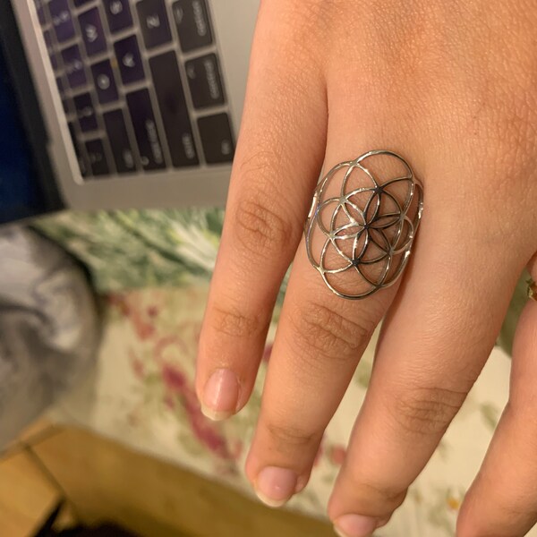 Pixiu Prosperity Statue Chinese Feng Shui Wealth Attraction Figurine ...