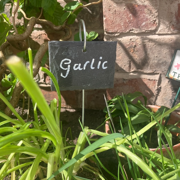Slate Hanging Plant Labels Tags Plant Markers Garden Greenhouse ...