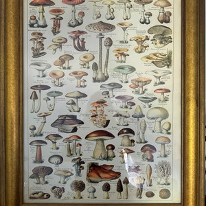 Window Opening on Nice Raoul Dufy Wall Decor Art Poster, Vintage Print ...