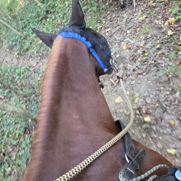 Yacht Rope Sport Mecate Reins W Poppers! Use With Slobber Straps ...