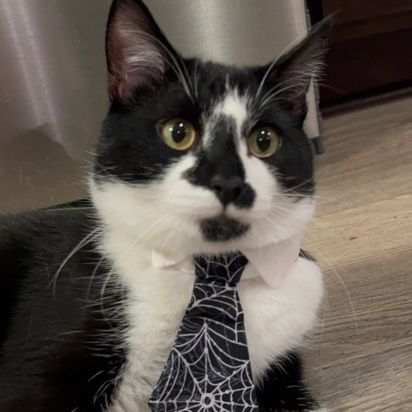 Black Satin Cat Bow Tie, Wedding Cat Bow Tie - Etsy