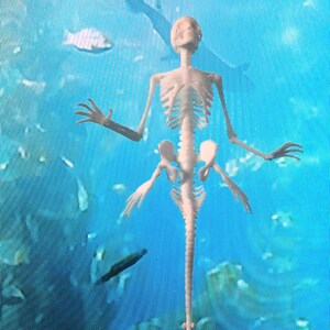 Dead Imp Skeleton 3D Print Taxidermy Sculpture | Etsy