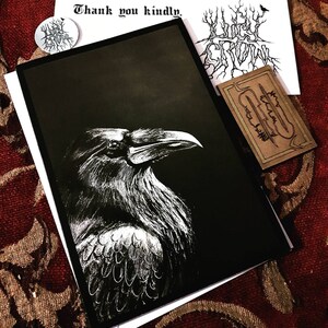Carrion Crow Portrait facing Left A4 Art Print - Etsy