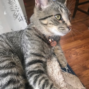 Star of David Pet ID Tag Petite Cat or Dog Tag 3/4 | Etsy