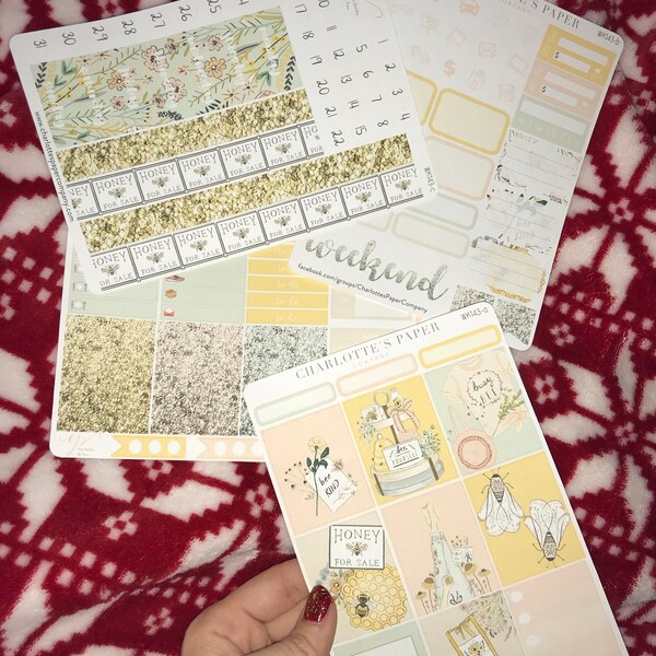 10 Page Budget Bundle for Planners, Savings Tracking Stickers, 750 ...