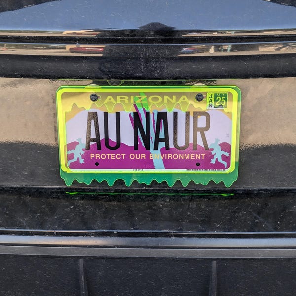 Flame License Plate Frame - Etsy