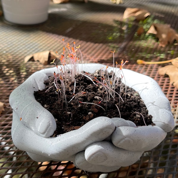 Hands Planter - Hand Bowl - Storage Tray - Organizer - Hands Plant Pot ...