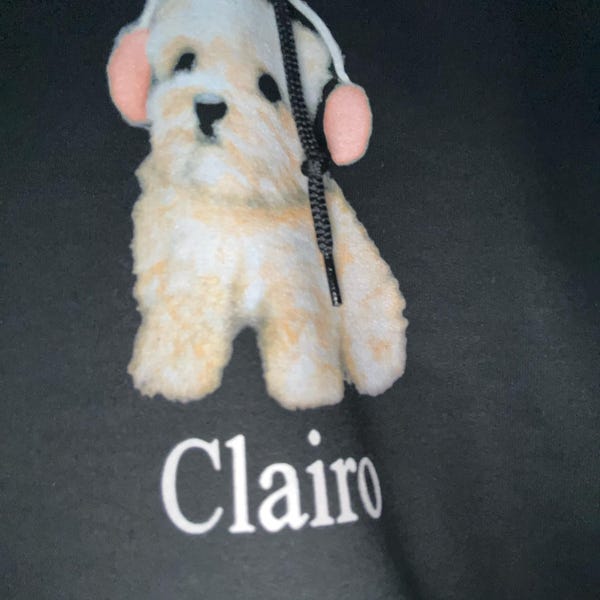 Salem Collegiate Green Logo Grey Gray Hoodie - S4LEM Witch House - Etsy