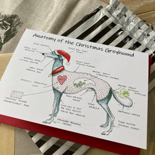 Greyhound Christmas Card, Funny Greyhound Christmas Card, Greyhound ...