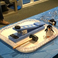 Frog Flinger Carnival Game. Perfect for Trade Show Rental - Etsy Ireland