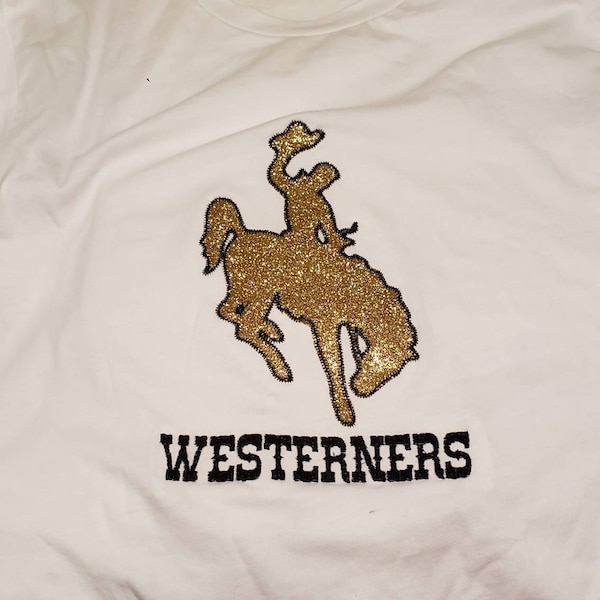 Machine Embroidery Designs INSTANT DOWNLOAD Rio Western Style Font Set ...