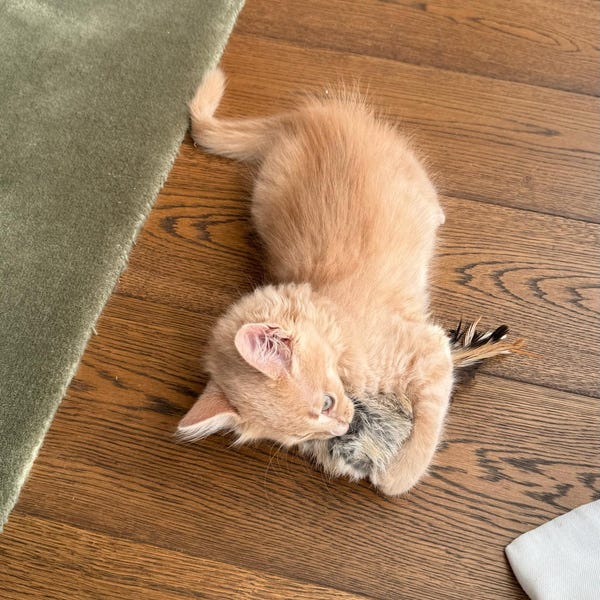 Hemp Fabric and Feathers Cat Kicker Toy With Catnip by Your Choice ...