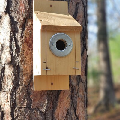 Bluebird House Predator Guard Squirrel Guard 1 1/2 Inch Hole - Etsy