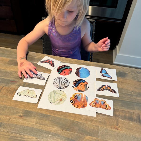 Printable Animal Matching Activity - Toddler & Preschool Printables ...