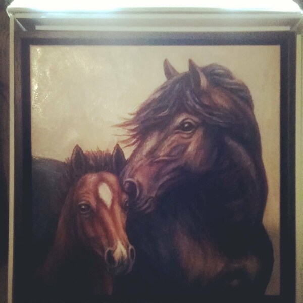 Original Horse Charcoal Drawing-original Illustration-original Horse ...