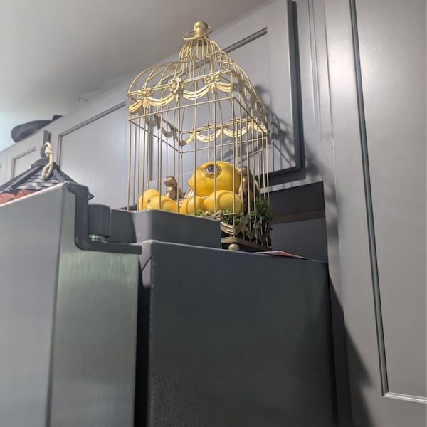 Realistic Life Sized Freaky Fruit All Seeing Lemon by Dead Head Props ...