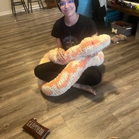 Ball Python Amigurumi Crochet Pattern, Betty the Realistic Plush Snake ...