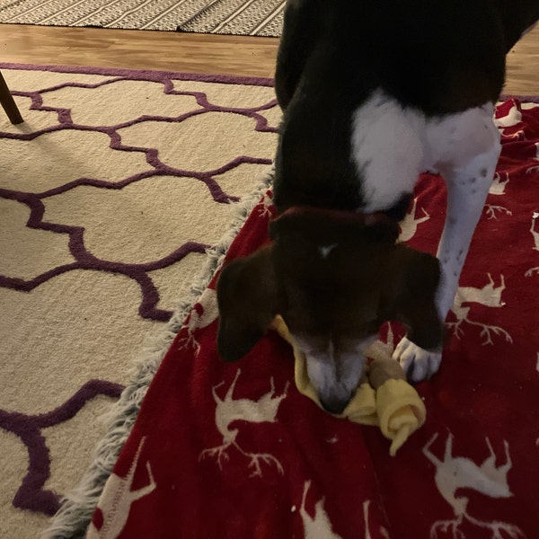 Cupcake Snuffle Mat - Dog Toy, Pet Toy, Interactive, Mental Exercise ...