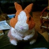 Cinnamon Dutch Rabbit - KNITTING PATTERN - Etsy