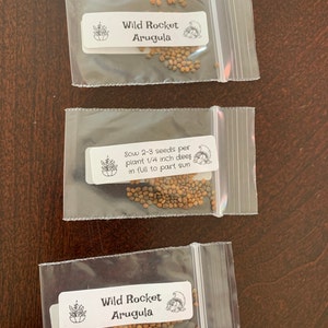 USA SELLER Optima Lettuce 200 Seeds HEIRLOOM lactuca Sativa - Etsy