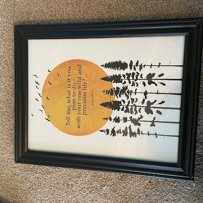 Mary Oliver Poem , Don't Hesitate , Motivational Quote , Mary Oliver ...