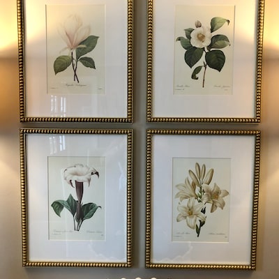 Botanical Poster 1936 Vintage Annual Flowers Print Botanical Art ...