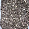 LITHOPS Premium Soil Less Potting Mix Oregon Licensed Nursery ...