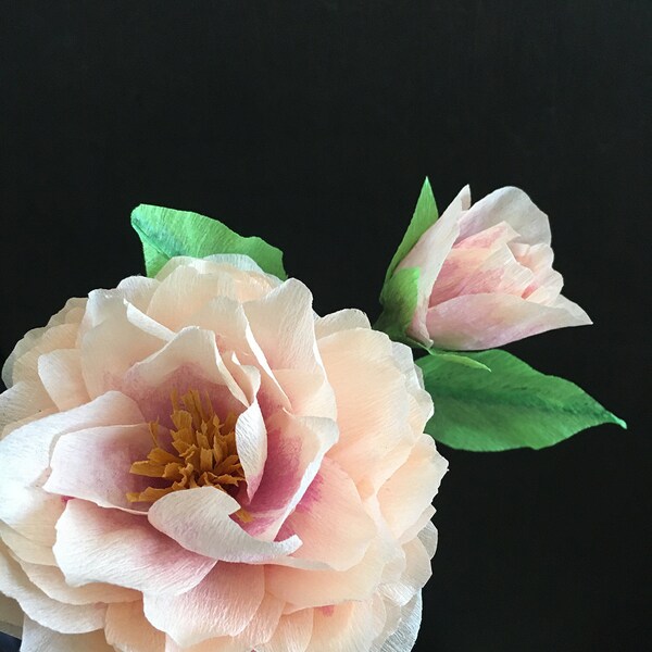 DIY KIT - Handmade Crepe Paper English Rose - Scepter'd Isle Flower's ...