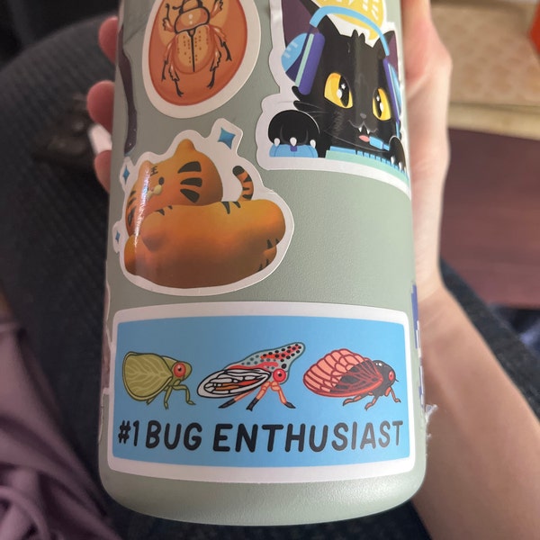 Number 1 Bug Enthusiast Sticker / Entomology / Entomologist / Bug Lover ...