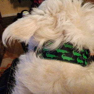 The Dragon Collars - Etsy