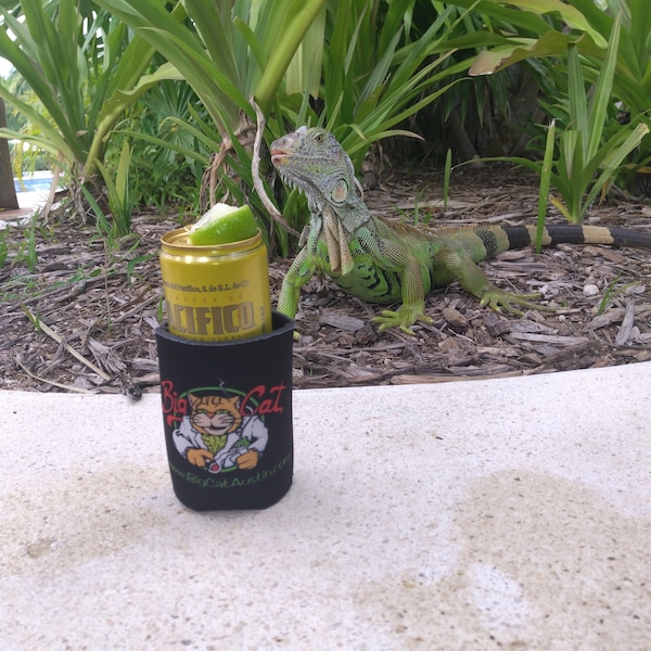 Iconic Texas Scene - Windmill and Bluebonnets at Dusk - Etsy