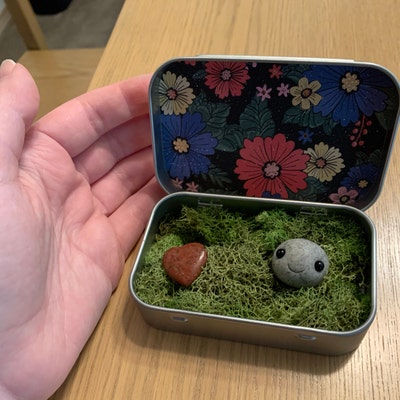 Adopt a TINY PEBBLE PAL W/ Crystal Moss Cork Jar Home - Etsy