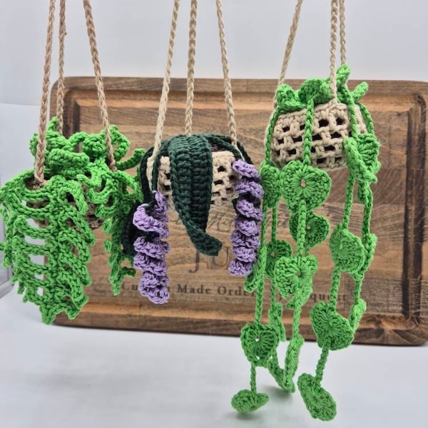 Plant Crochet Pattern, Car Hanging Plant Crochet Pattern, Crochet ...