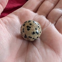 Blue Coral Tumbled Stone Blue Coral Crystal Stones protection Stone ...