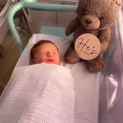 Wooden Circle Toy Box Storage Labels, Playroom, Nursery, Ikea Trofast ...