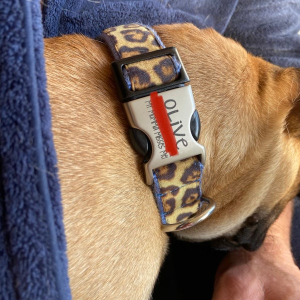 LEOPARD VELVET Personalized Engraved Buckle Dog Collar - Animal Print ...