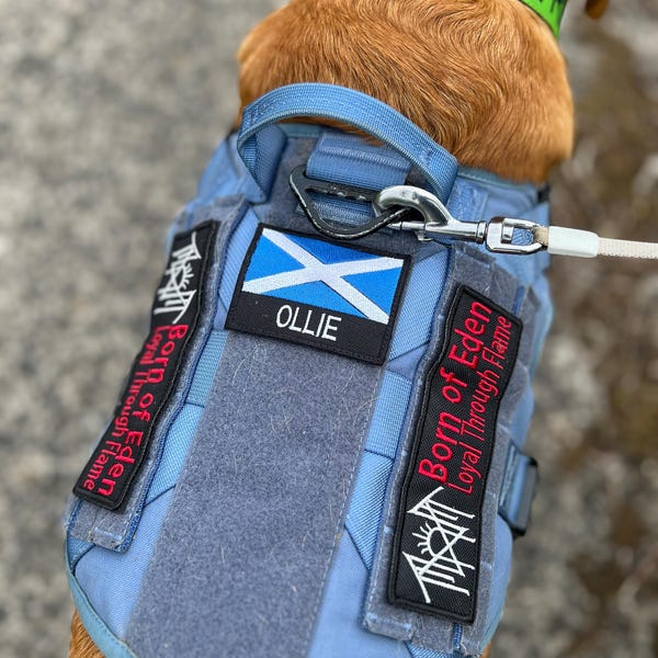 Flag Keyrings International Country Identifier 140x30mm Robust Design ...