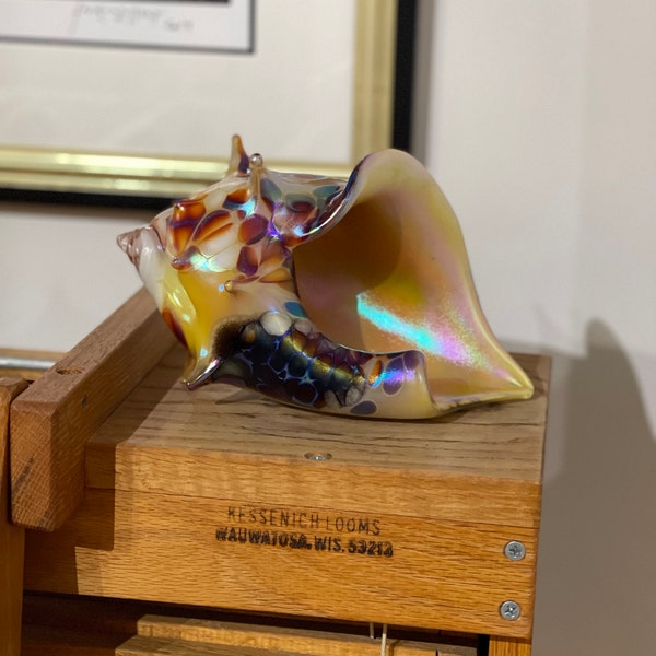 Blue & White Iridescent Sea Shell - Etsy